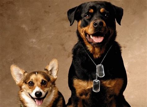 Предстои ни информационната кампания за въвеждане на еврото Lentata