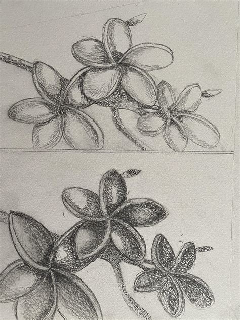 Shading Exercise On Behance Shading Exercise On Behance