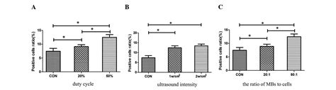Ultrasound Targeted Microbubble Destruction Enhances Polyethylenimine