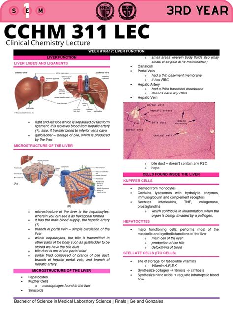 Cchm 311 Week 1617 Liver Function Pdf Liver Cirrhosis
