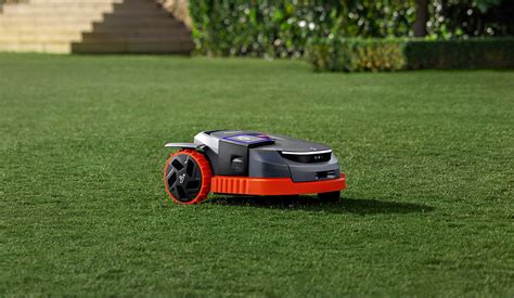 Why Does Grass Smell When Cut The Freshly Mown Lawn Aroma Explained