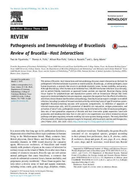 Pdf Pathogenesis And Immunobiology Of Brucellosis Review Of Brucella