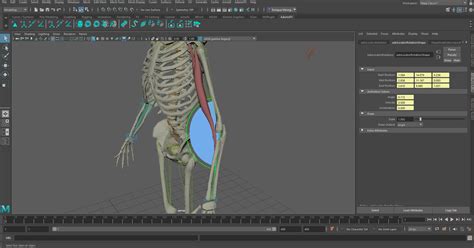 A Simple Setup Maya AdonisFX Docs
