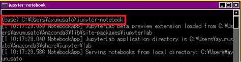 Jupyter Notebookで保存されているファイルの実行方法