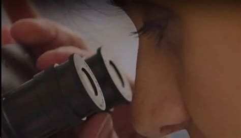 Empowering Early Career Researchers In Medical Research