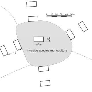 Schematic Arrangement Of The Study Plot Blocks Blocks Each Download Scientific Diagram