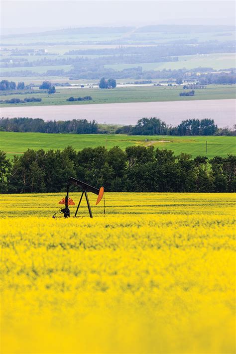Microbial Efficiency Of Crop Residue Decomposition Top Crop