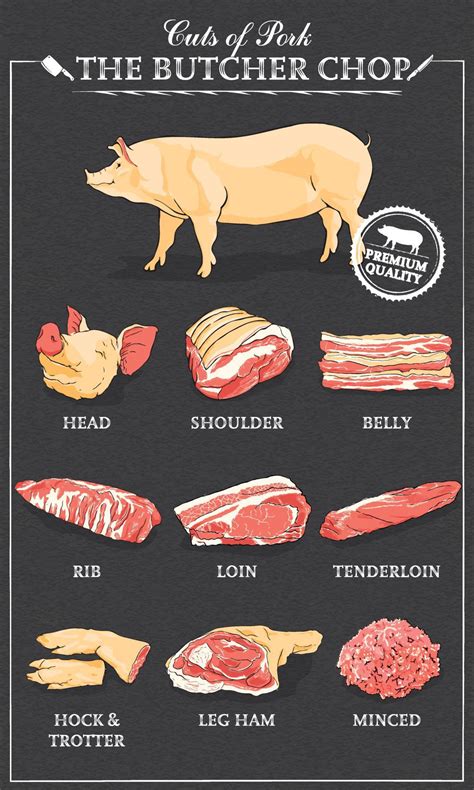Cuts Of Pork Diagram Part Of Pork Cut Of Meat Set Poster Butcher