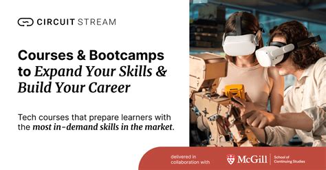 What Does A Software Developer Do The Ultimate Guide Technology