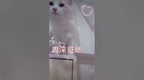 周深 征途 太好聽了！ Youtube