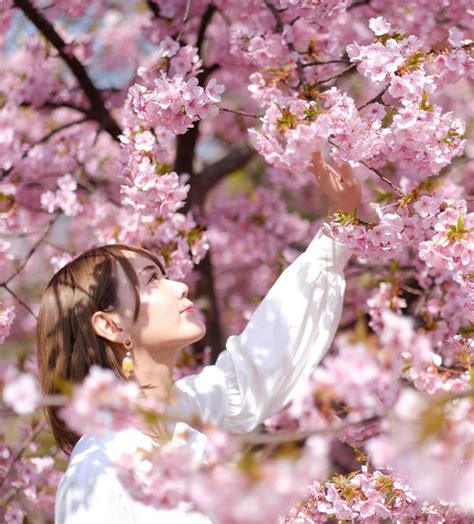 安藤まいさんのインスタグラム写真 安藤まいinstagram「満開🌸 静豊園河津桜静豊園の河津桜 ポートレート桜ポトレ春