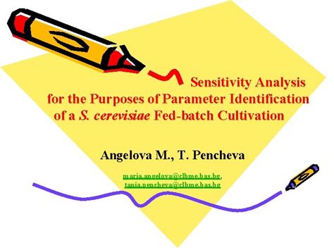 Sensitivity Analysis For The Purposes Of Parameter Identification