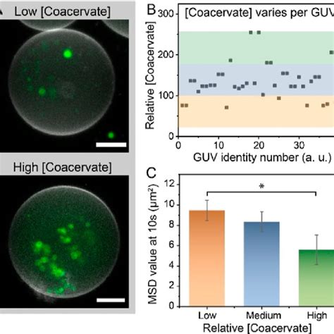 Investigation Of Coacervate Concentration And Its Effect On Motion