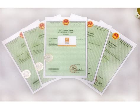 Đăng ký nhãn hiệu và bản quyền tại Việt Nam Bảo Hộ Thương Hiệu IPVC