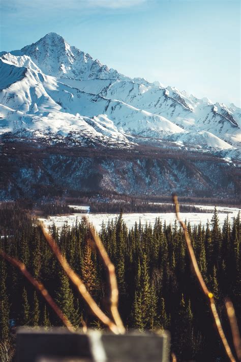 Greater Alaska In The Kenai Region Daddio Time