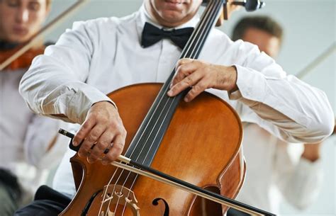 A Guide To The Different Parts Of A Cello Anatomy Explained