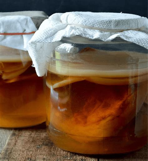 紅茶キノコが大人気セレブが夢中になるコンブチャってなに カケグラム