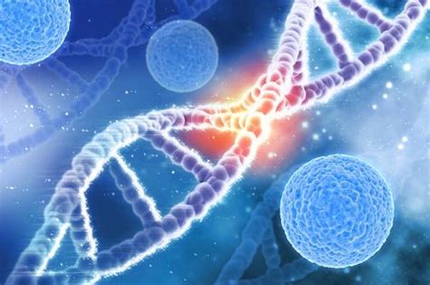 小分子核糖核酸的“基础研究”，开启癌症免疫治疗新方向