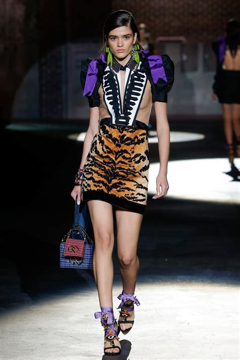 Picture Of Dsquared