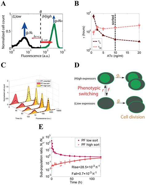 Cellular Memory Estimation And Measurement Based On The Cellular Download Scientific Diagram