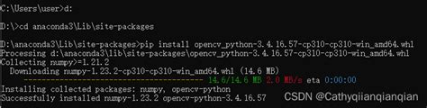 解决：no model named cv2 csdn博客