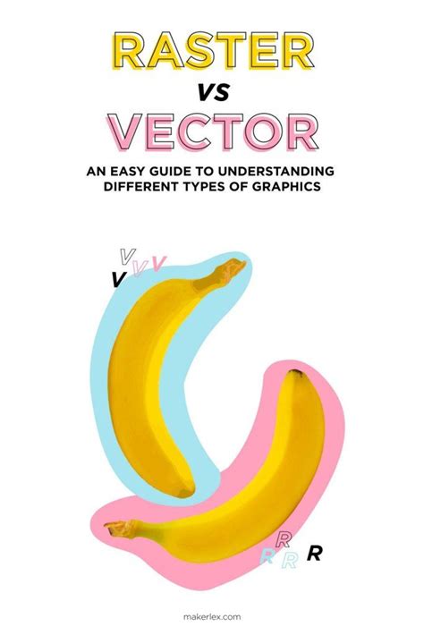 Every Graphic Designer Should Know This Raster V Vector Raster Vs