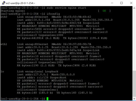 introduction to elastic network interface whizlabs blog