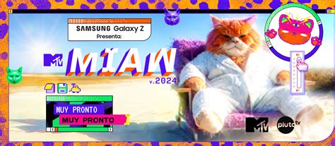 MTV Miaw 2024 Todo Lo Que Debes Saber Mitoteros Show
