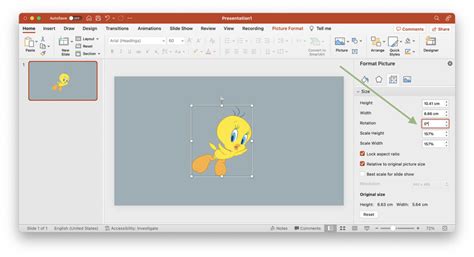 How To Flip Mirror Images In PowerPoint In 4 Quick Steps Design Shack