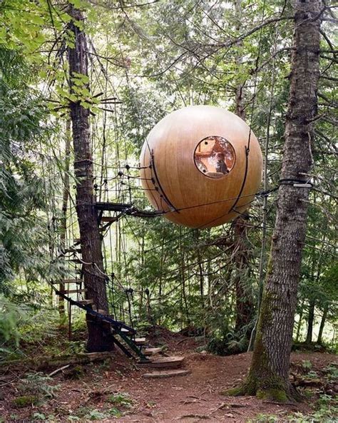 34 Stunning Tree House Designs You Never Seen Before MAGZHOUSE Tree