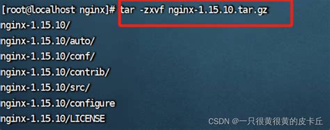 Vue Nginx Vue Nginx Csdn