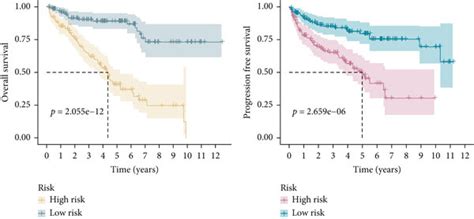 Estimation And Internal Validation Of The Risk Signature Of Seven
