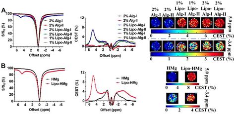 CEST MRI detectable liposomal hydrogels for multiparametric monitoring in the brain at 3T