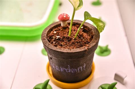 커피박 업사이클링 화분 유니크한 커피화분으로 재탄생한 커피 찌꺼기 네이버 블로그