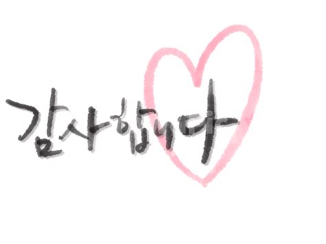 캘리 감사합니다 감사합니다캘리그래피 감사합니다캘리그라피 감사캘리 사진 이미지 일러스트 캘리그라피 Jiu작가
