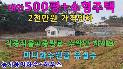 물건번호 311 1번 3천만원 가격인하 토지500평소형주택포함 미니과수원급 유실수가 있는 매물입니다 각종작물 알차게