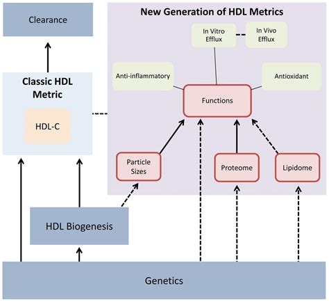 Overview Of The Regulation And Interaction Of Traditional And Novel Hdl Download Scientific