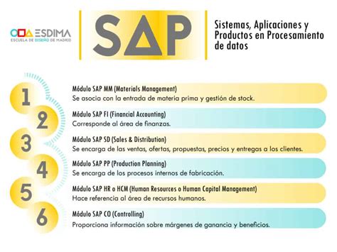 Qué Es Sap Todo Lo Que Debes Saber Antes De Usarlo