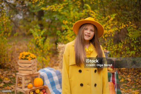 호박 사과 담요 건초 오렌지 모자 드레스와 가을 장식 옆에 코트 귀여운 아름다운 십대 갈색 머리 소녀 아늑함 10월에 대한 스톡