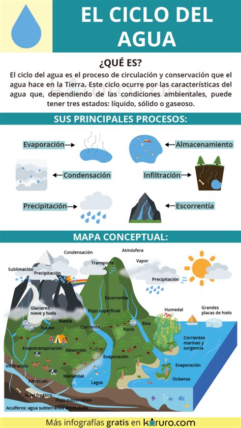 Etapas Del Ciclo Del Agua Ciclo Da água O Que é Etapas Mapa