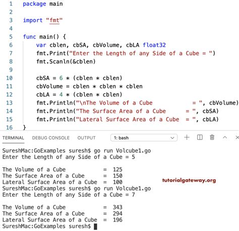 Go Program To Find Volume And Surface Area Of A Cube