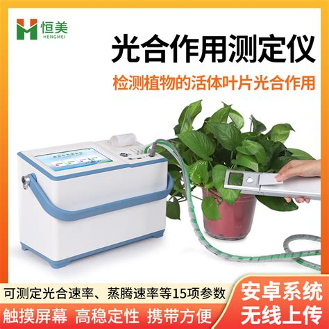 植物光合作用测量系统有哪些 哔哩哔哩