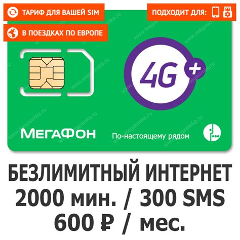 Тариф Билайн 310 ⋆ LiteLine