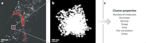 Single Linkage Cluster Analysis Slca Of Fpalm Data Set To Identify Download Scientific