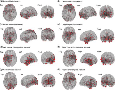 Prototypical Functional Brain Networks Representing Synchrostates Download Scientific Diagram