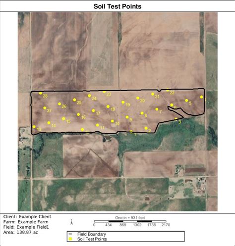 Grid Sampling Crop Quest
