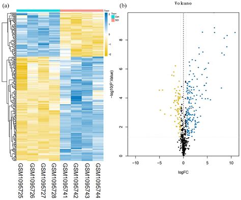 Figure 2 From Identification Of A Circrna Mediated Comprehensive Cerna Network In Spinal Cord