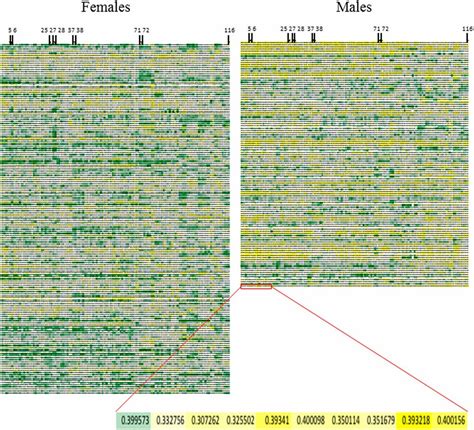 The Brain Mosaic Theory A Review Of The Current Literature By