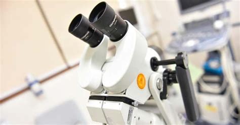 Excisional Procedure Cpt Code
