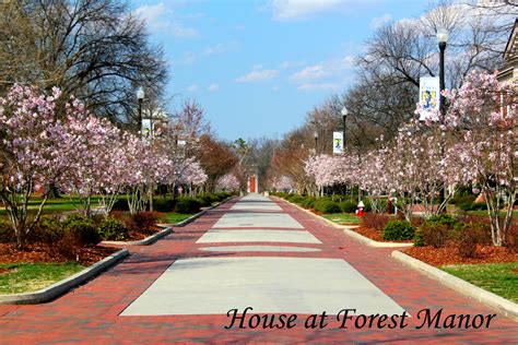 House At Forest Manor A Beautiful Spring Campus